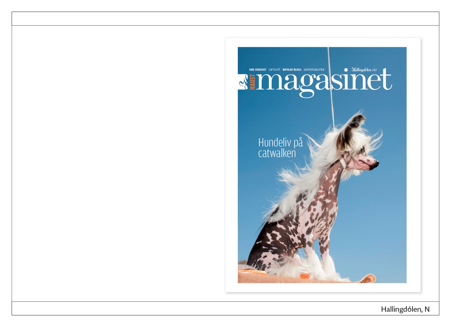 20. Wettbewerb: Foto-Reportagen Print und Online